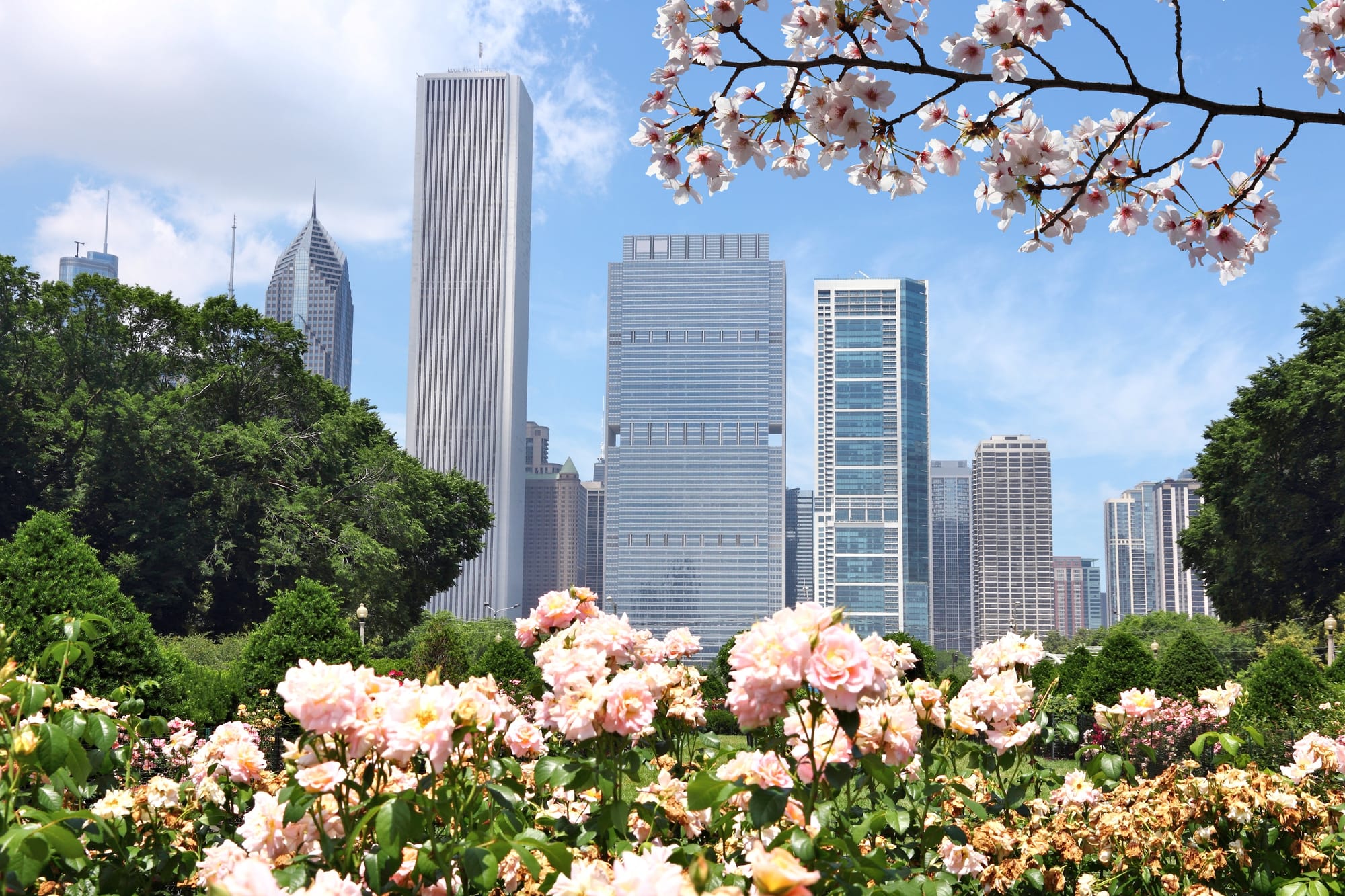 The Ultimate Guide to Accessible Travel to Chicago